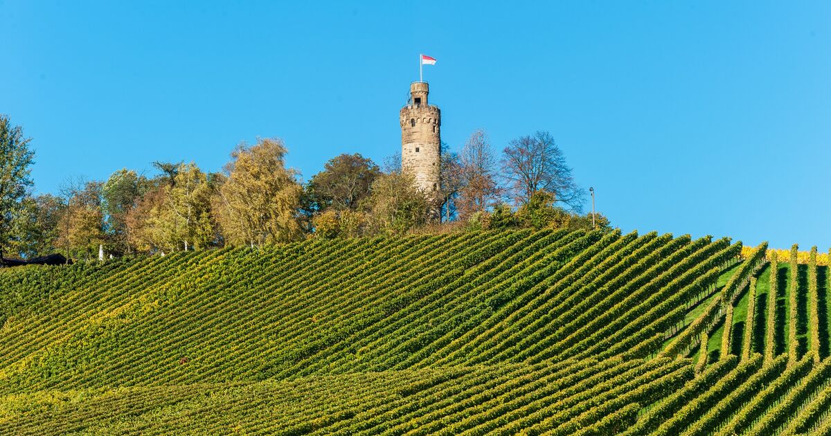 Gemeinsam den Heuchelberg retten | Bürgerinitiative Pro Heuchelberg